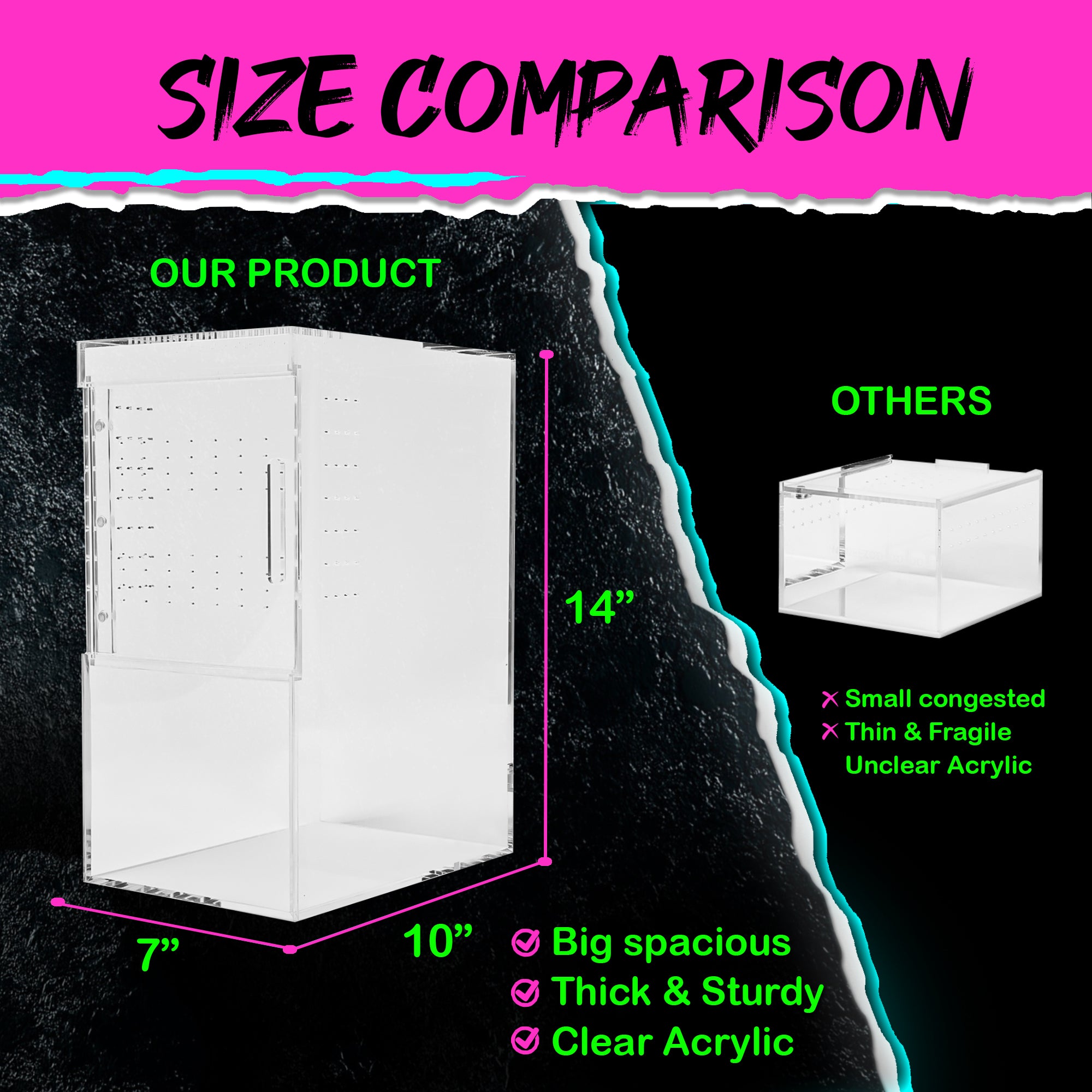 Acrylic Tarantula Enclosure